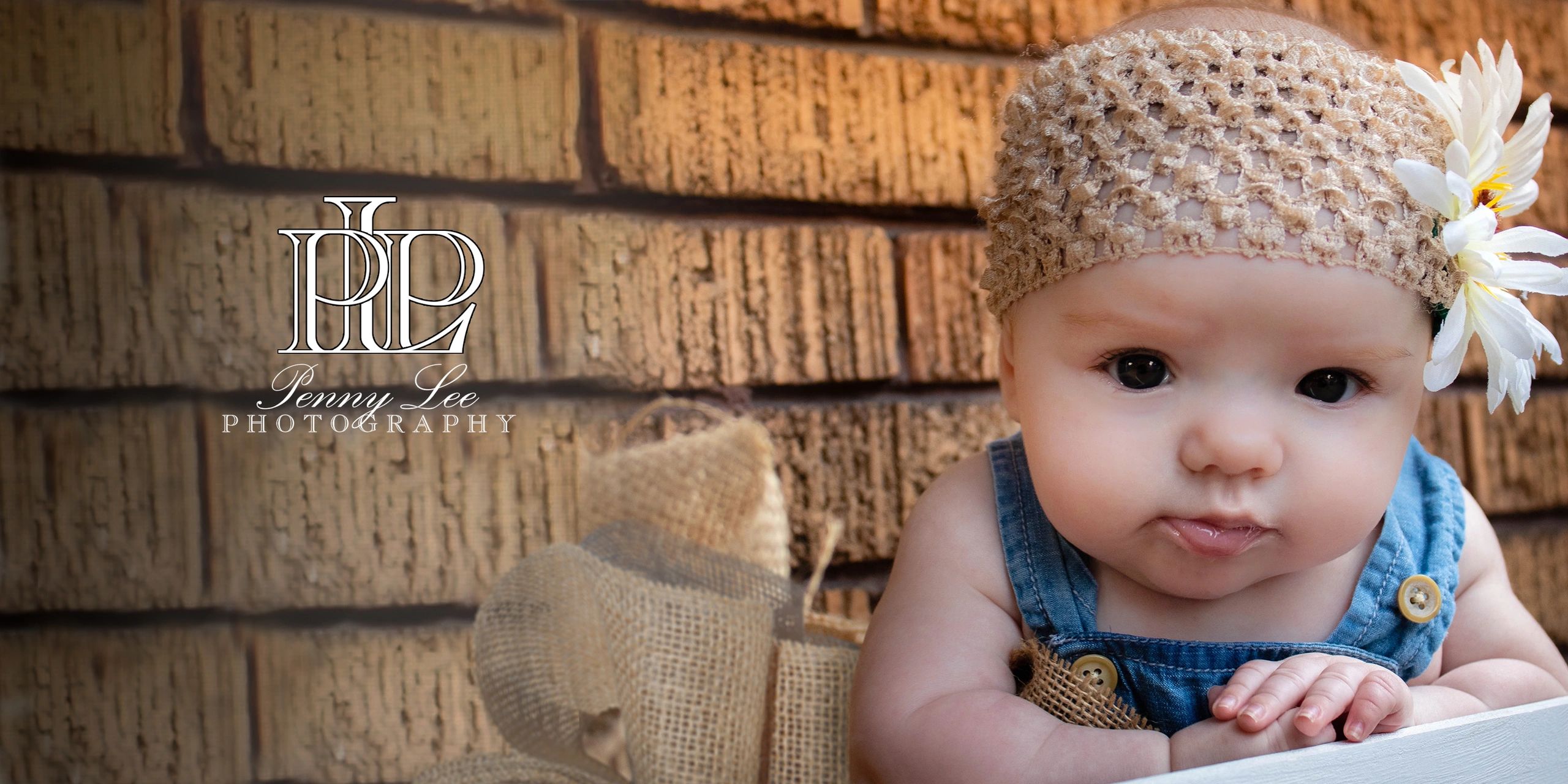 Pricing Penny Lee Photography